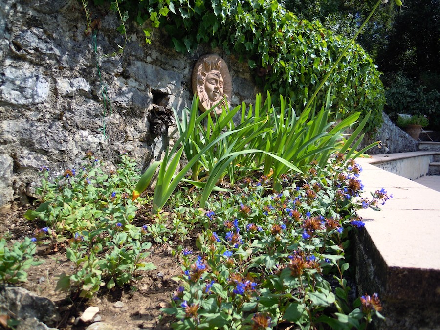 Forget Me Not | Kemila Zsange Hypnotherapy & Counselling